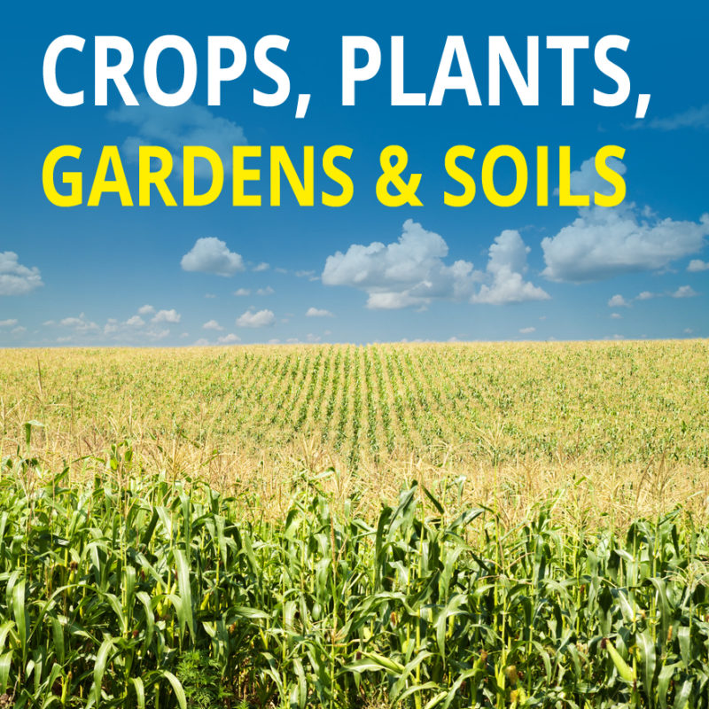 Efficient Microbes natural microbial probiotic solutions