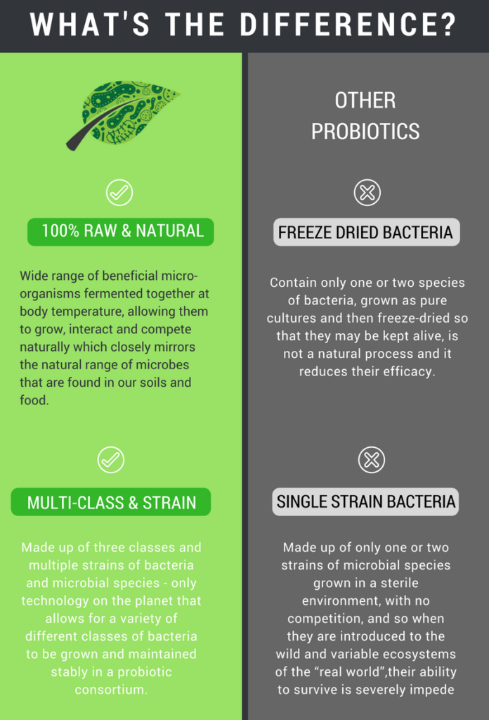 What Puts Efficient Microbes Probiotics into a Different League