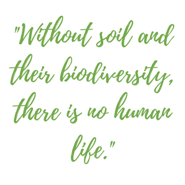 Soil is Key to Sustaining Planet Earth / Efficient Microbes