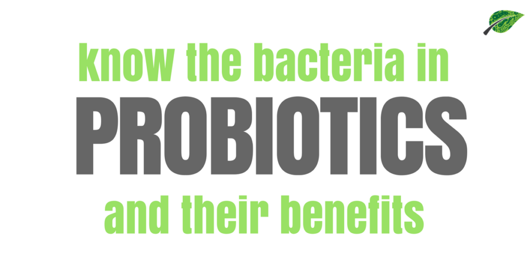 Know the Bacteria in Probiotics - Efficient Microbes Probiotic Bacteria