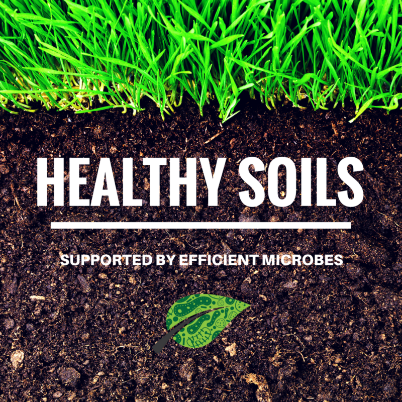 Healthy Soil - Efficient Microbes