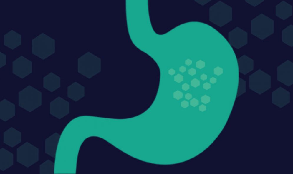 Blog - Efficient Microbes